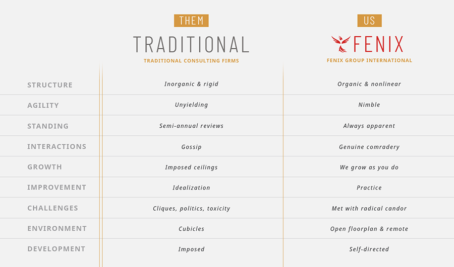 comparison – FENIX GROUP INTERNATIONAL